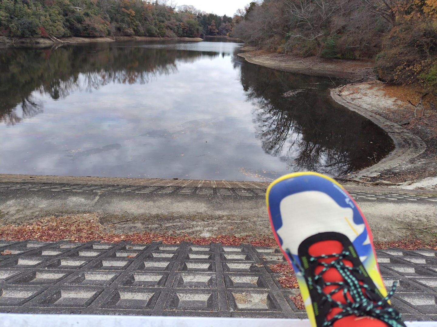TRはじめの一歩/六道輪廻ヶ岳 / ぽのさんの生駒山・神津嶽・大原山の活動データ | YAMAP / ヤマップ