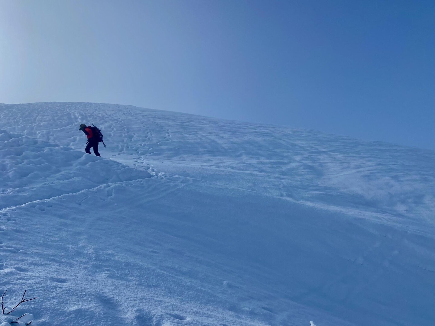 『荒島岳』Overview / yasu-yoshiさんの荒島岳の活動日記 | YAMAP / ヤマップ