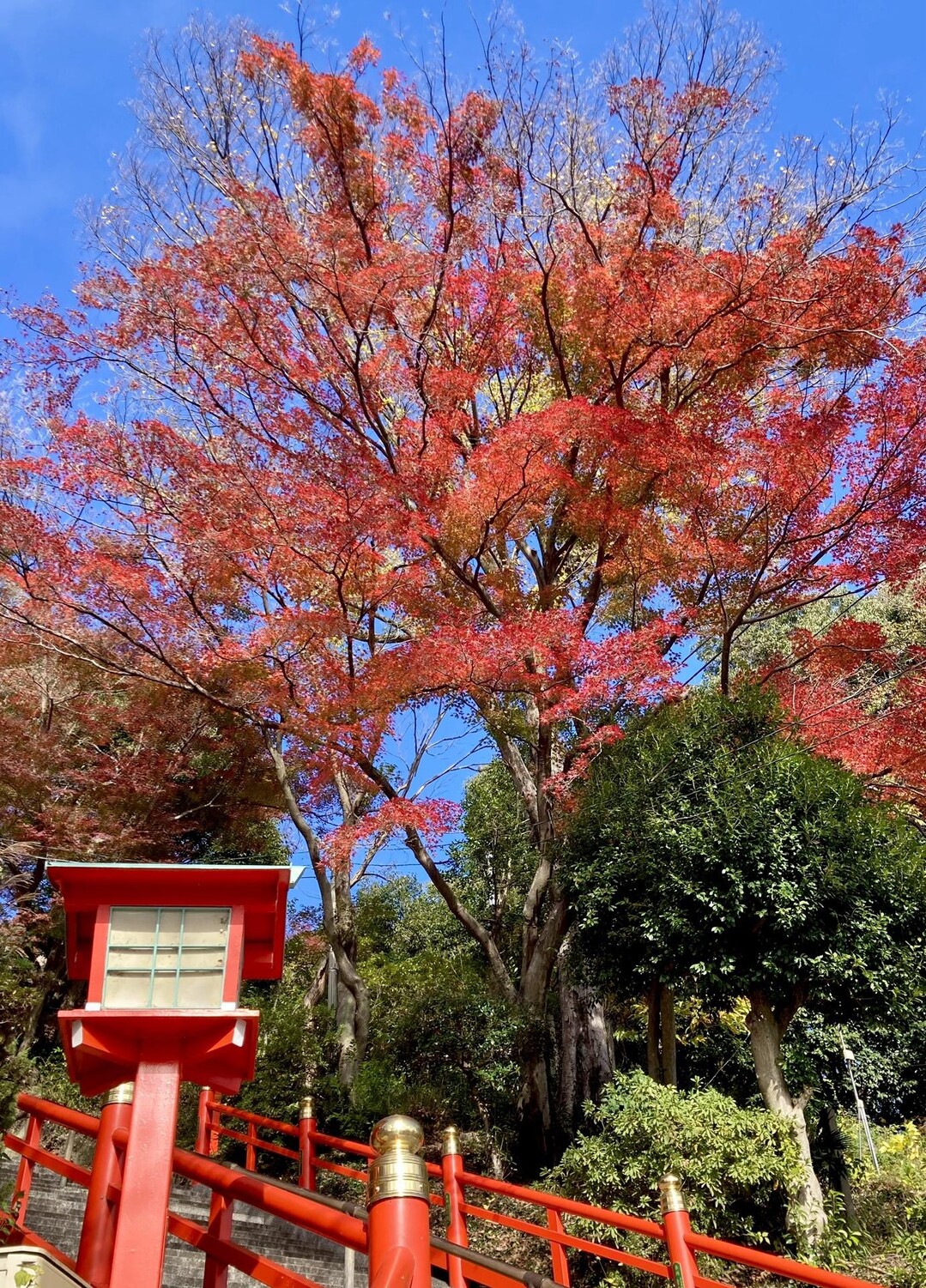 ー1.0からのスタート 大岩山で山リハビリ / Yosshyさんの両崖山・仙人ヶ岳・石尊山の活動データ | YAMAP / ヤマップ