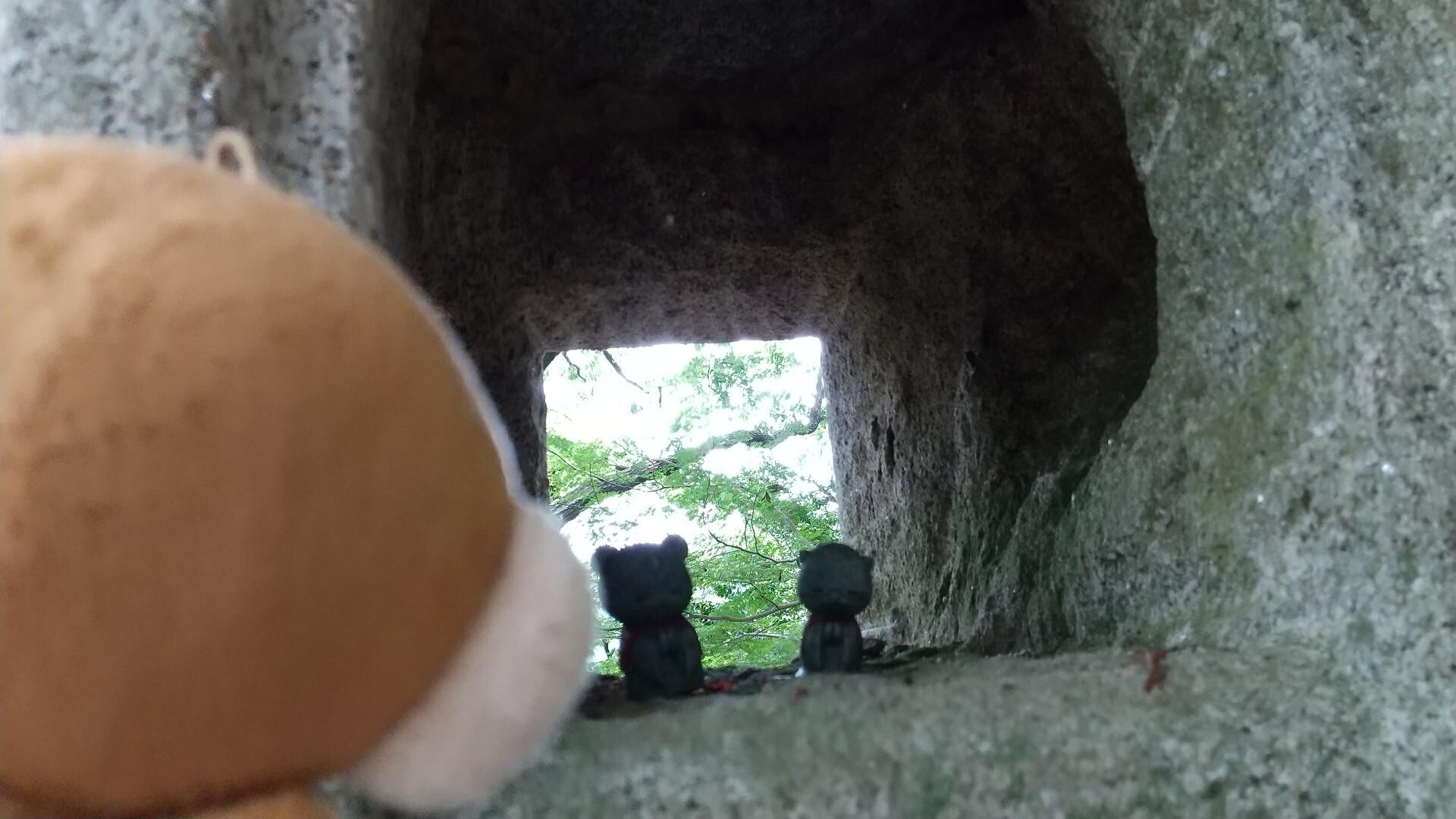 高尾山に打ち合わせに🐻 / kumakoさんの高尾山・陣馬山・景信山の活動データ | YAMAP / ヤマップ