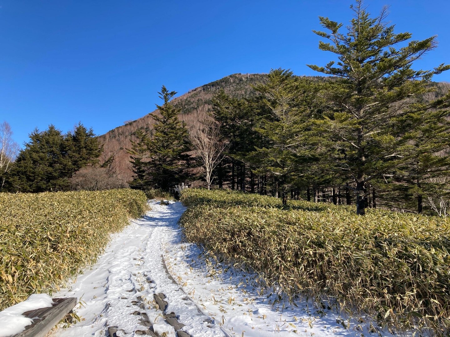 登り納めは奥日光スノーハイクDay1 / Mayuさんの男体山の活動データ | YAMAP / ヤマップ