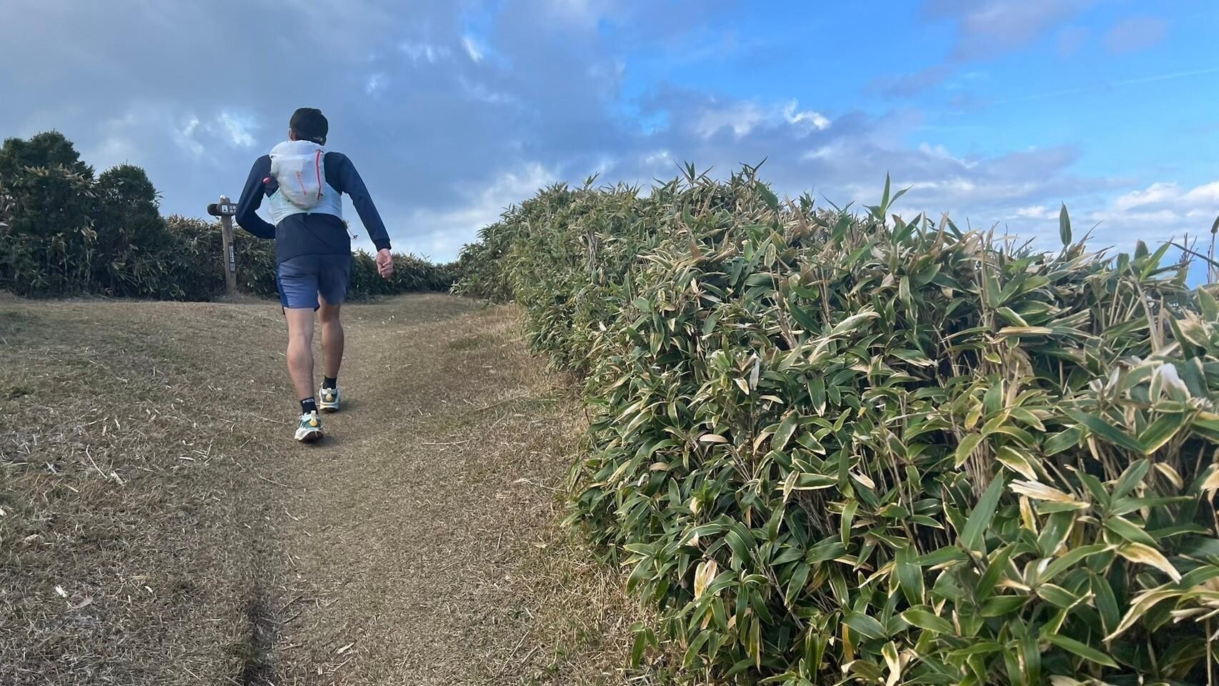 ITJ試走2024 / むさんの金冠山・達磨山・葛城山の活動データ | YAMAP / ヤマップ