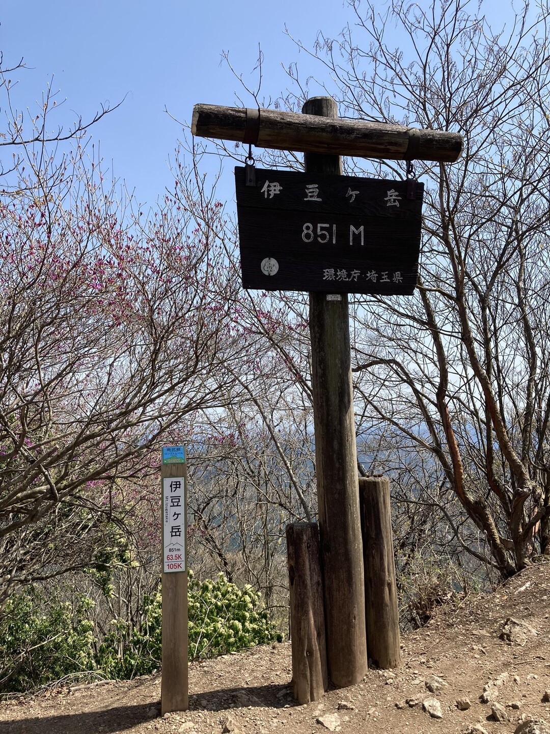 伊豆ヶ岳 / koheiさんの武甲山・伊豆ヶ岳・小持山の活動データ | YAMAP / ヤマップ