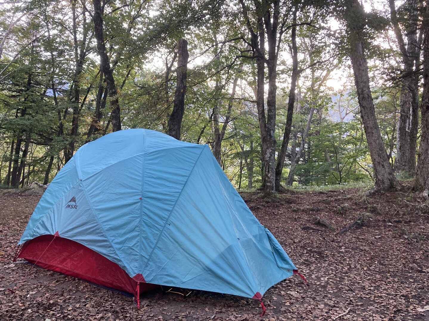 MSRのハビチュード4を知人にお借りして... / ともかとさんのモーメント | YAMAP / ヤマップ