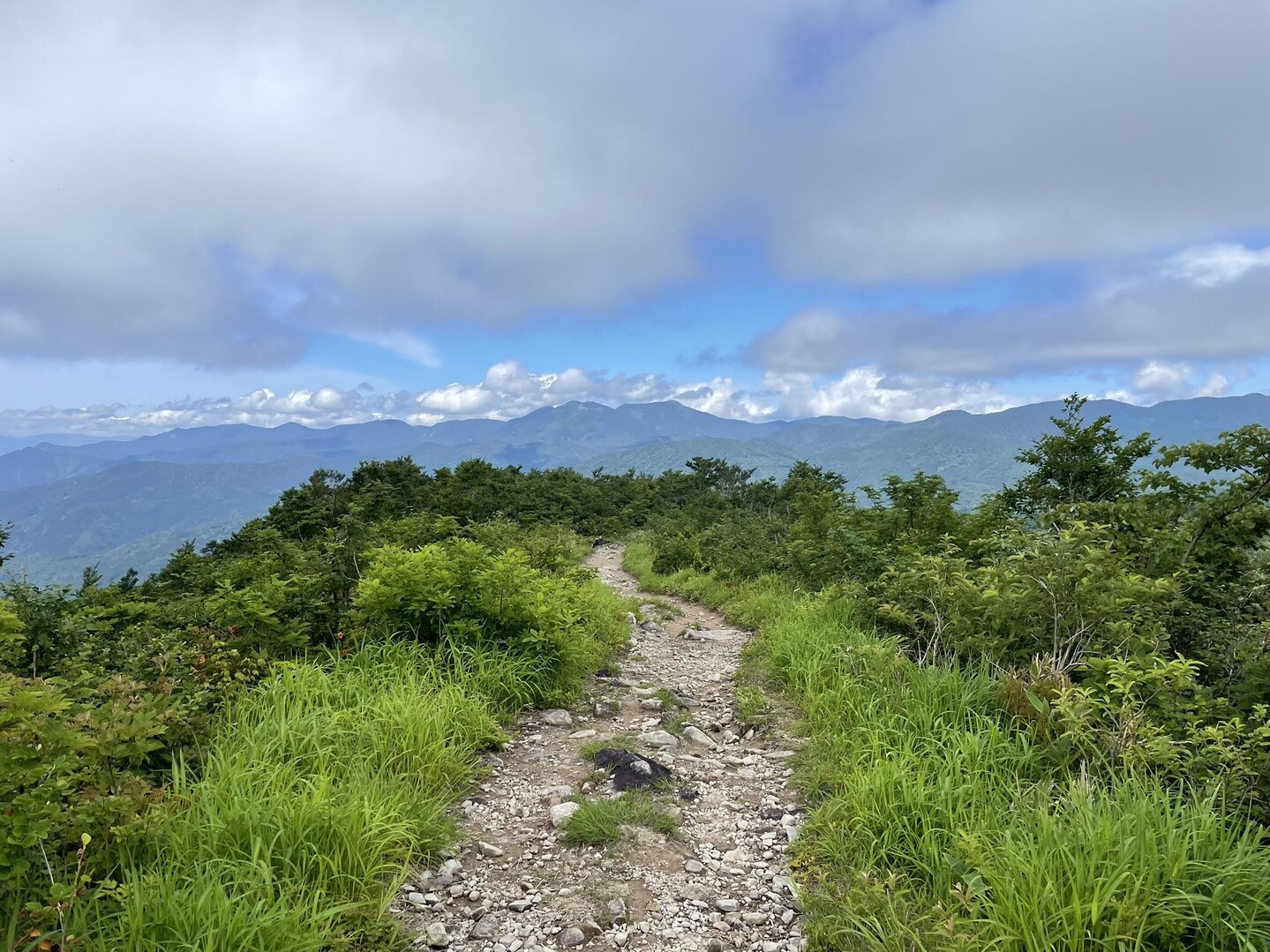こつぶり山・取立山 / mamiさんの取立山の活動データ | YAMAP / ヤマップ