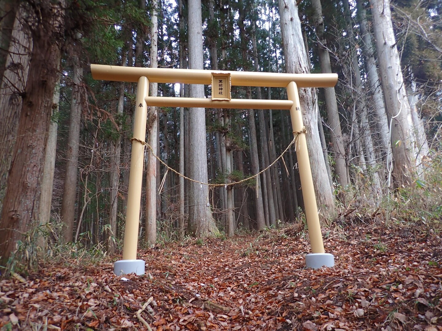 🗻遠征〜師匠と竪破山へ / ポメmomoさんの土岳・花貫渓谷・竪破山の活動データ | YAMAP / ヤマップ