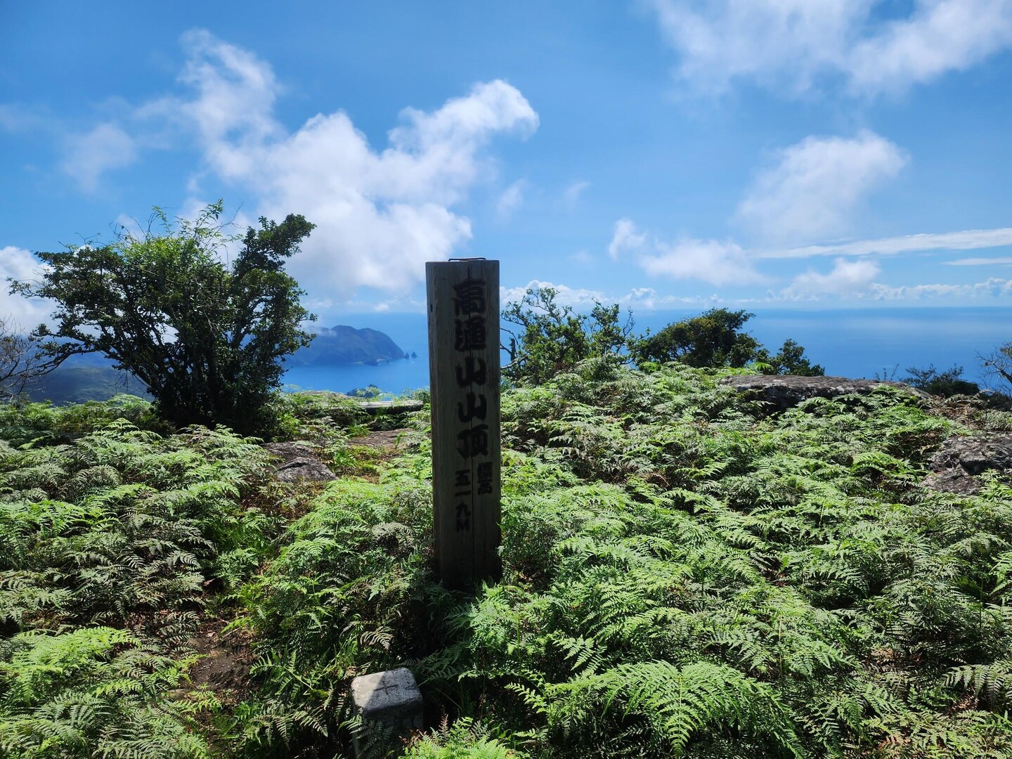 西伊豆旅行②:高通山 / 盛岡冷麺激辛さんの暗沢山・大峠・長者ヶ原の活動データ | YAMAP / ヤマップ