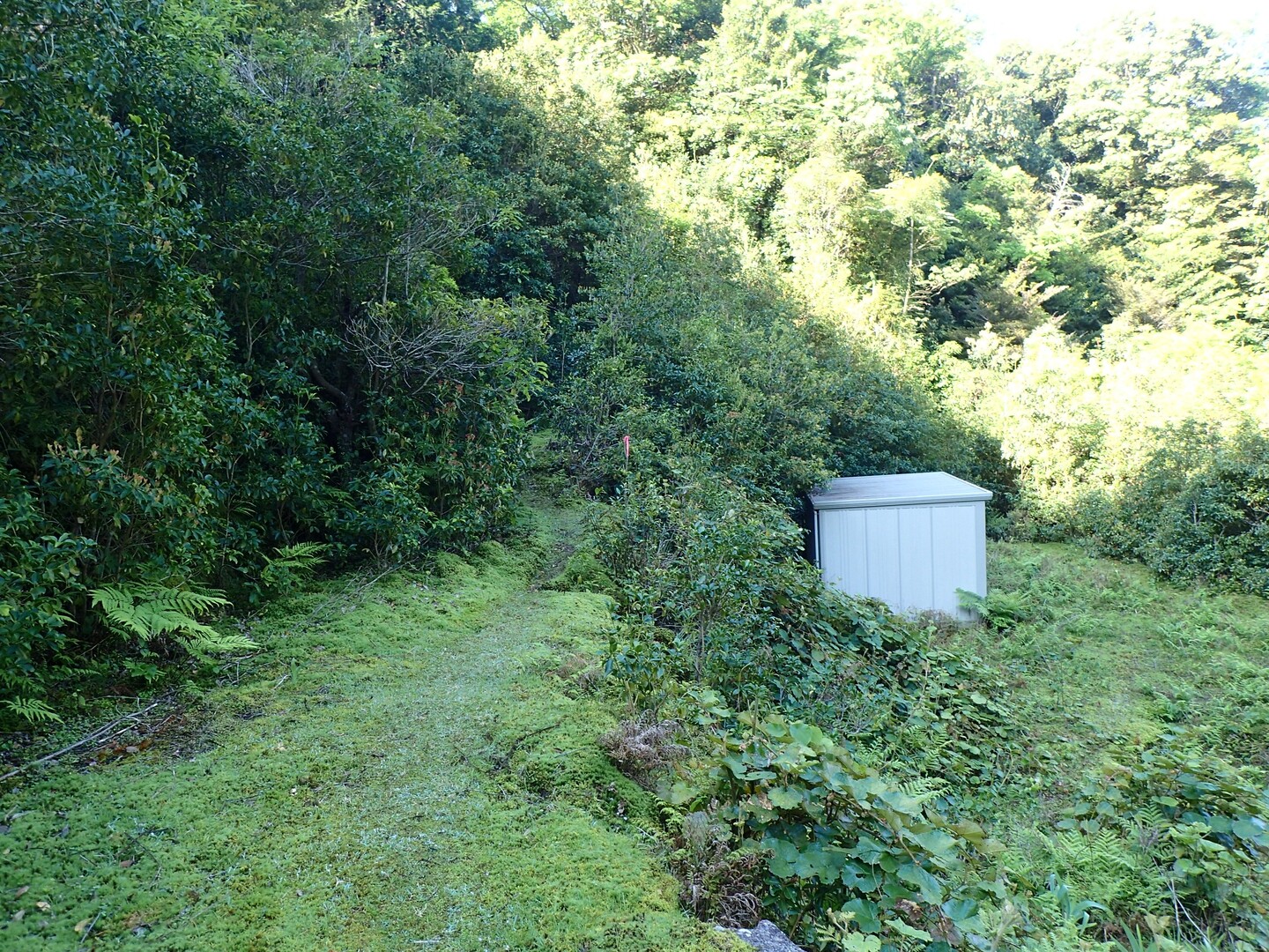 SEIJI～聖～さんの投稿したフィールドメモ | YAMAP / ヤマップ