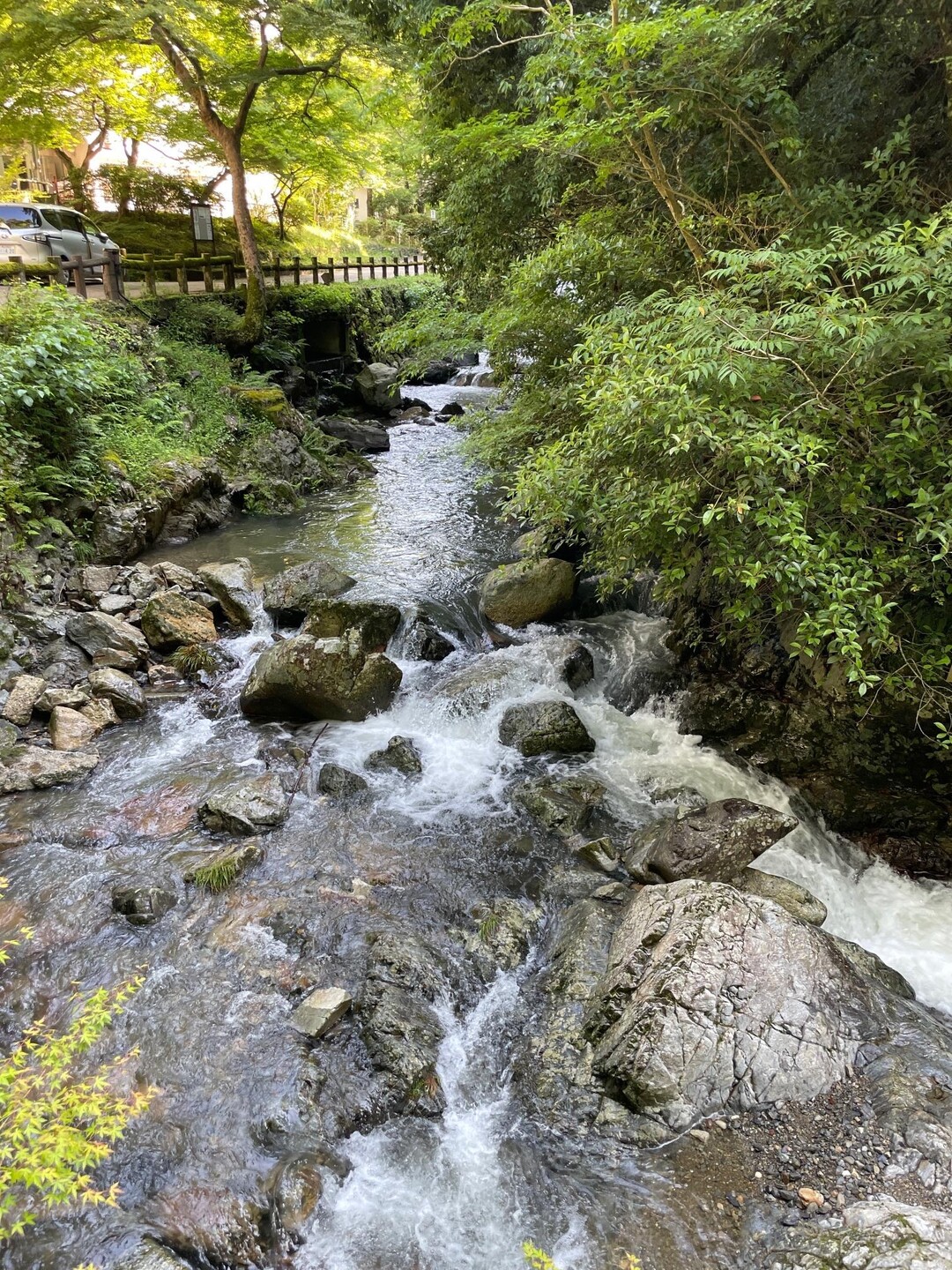 滝道ウォーキング-2024-06-19 / Yamasanさんのウォーキングの活動データ | YAMAP / ヤマップ