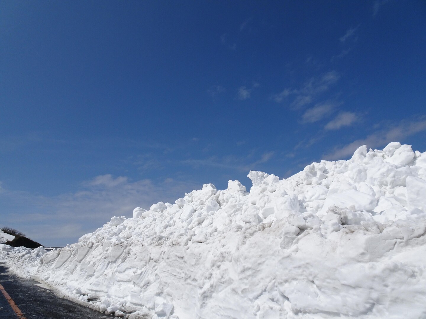 伊吹山 / mooかめさんの伊吹山・伊吹高原・御座峰の活動データ | YAMAP / ヤマップ