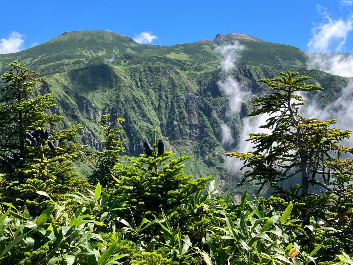 白山釈迦岳 / sono_01さんの七倉山・奥長倉の活動データ | YAMAP / ヤマップ