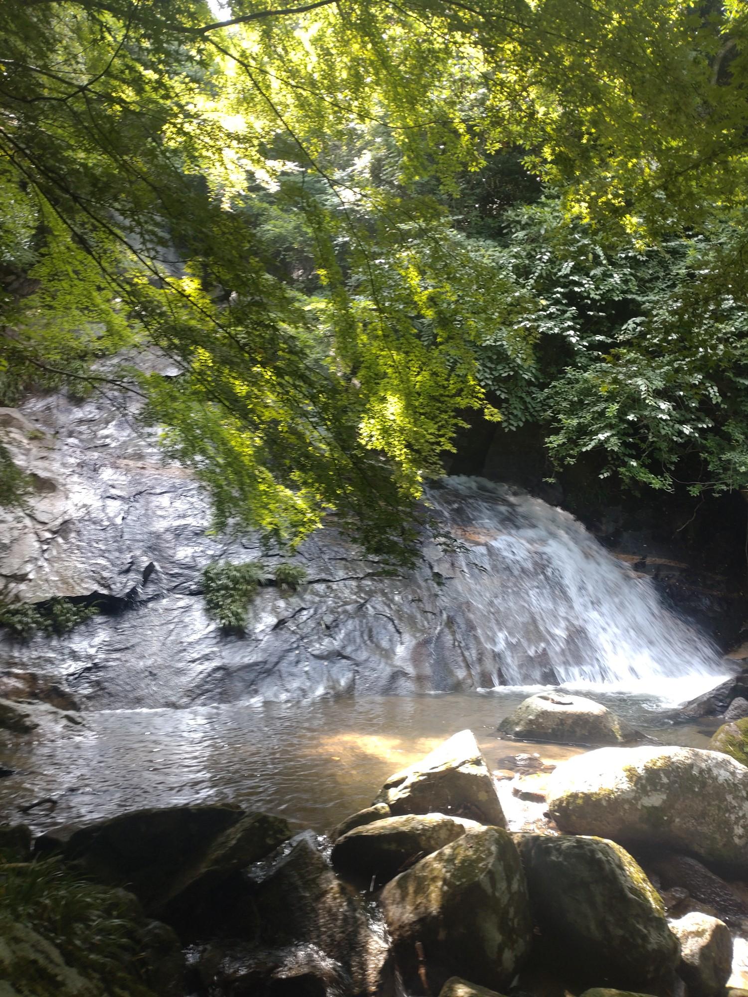 二丈岳 / BSさんの二丈岳・十坊山の活動データ | YAMAP / ヤマップ