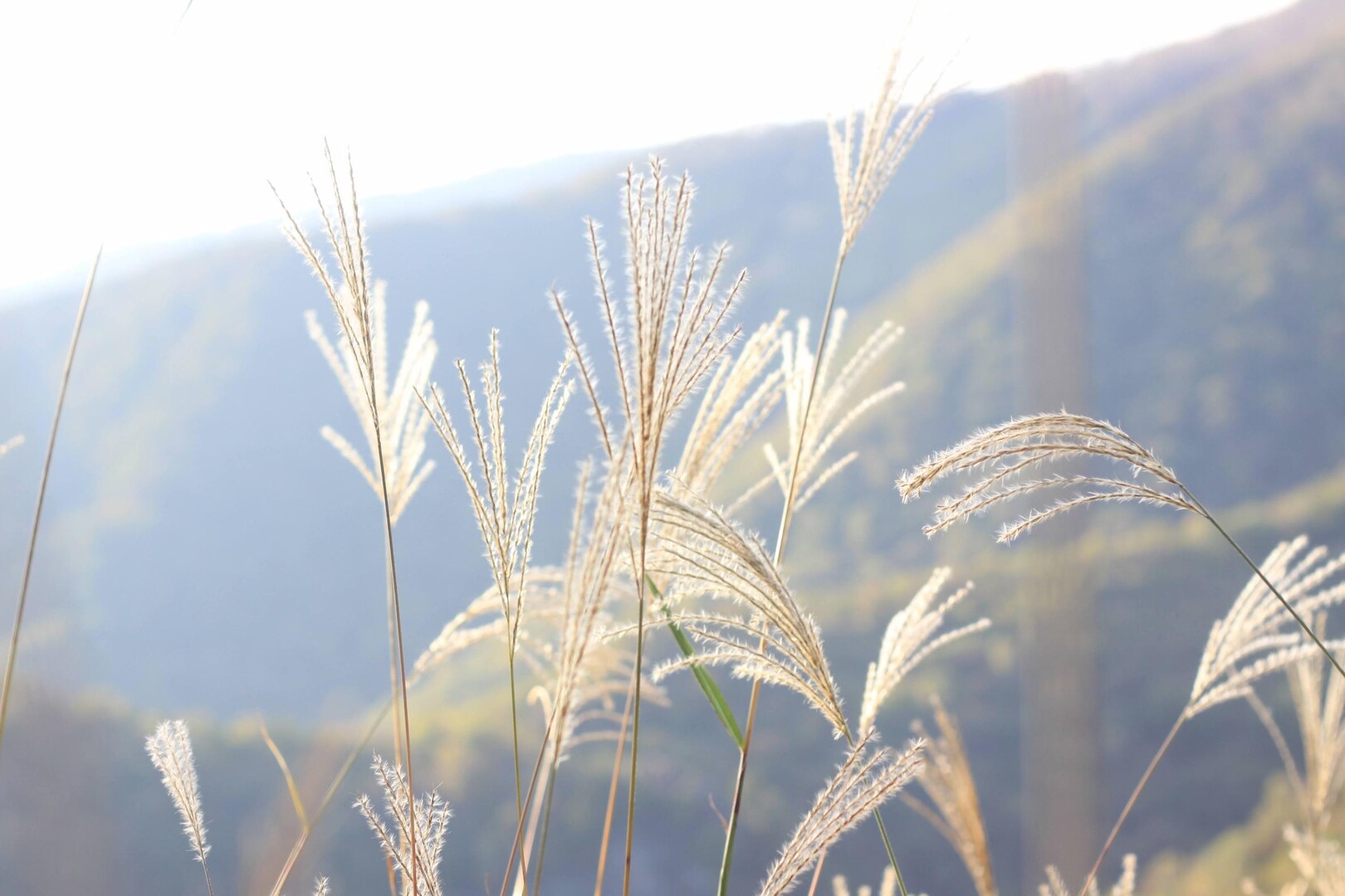 のんびり秋🍁の気配感じて / Hiro'ismさんの皇海山・袈裟丸山・庚申山の活動データ | YAMAP / ヤマップ