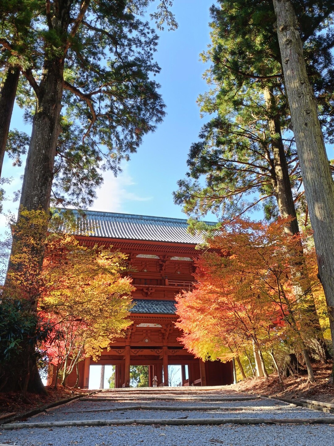 高野山に行って来たのですが… 地図もダウ... / myayuchiさんのモーメント | YAMAP / ヤマップ