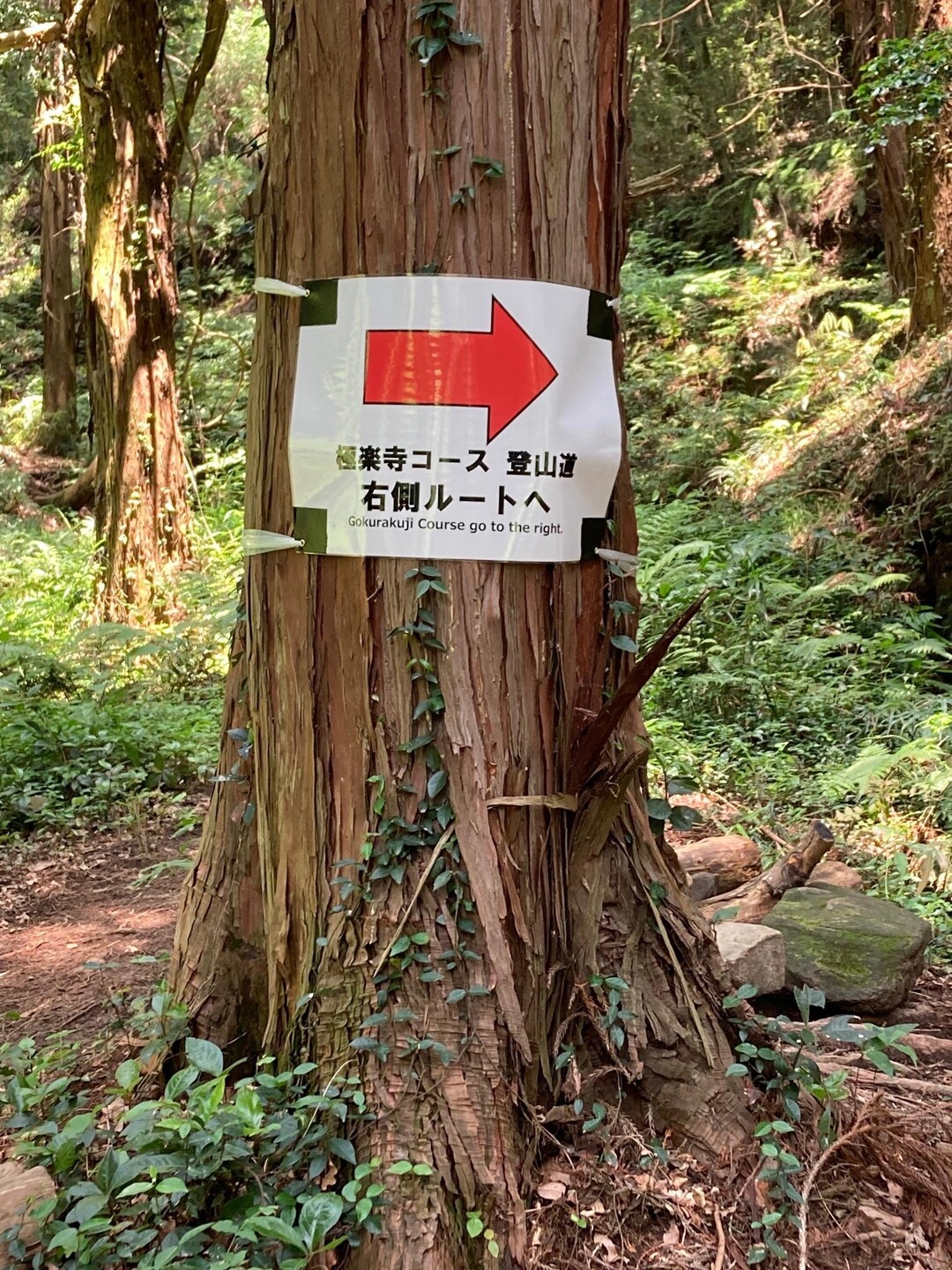 o-daijinさんの投稿したフィールドメモ | YAMAP / ヤマップ