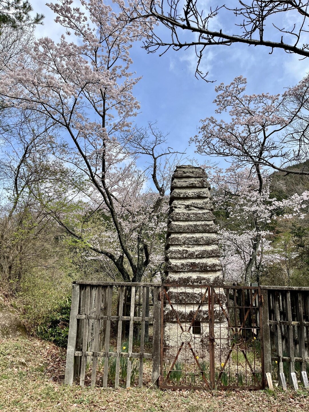 二上山（雄岳）・銀峰・二上山（雌岳） / milky55さんの金剛山・二上山・大和葛城山の活動データ | YAMAP / ヤマップ