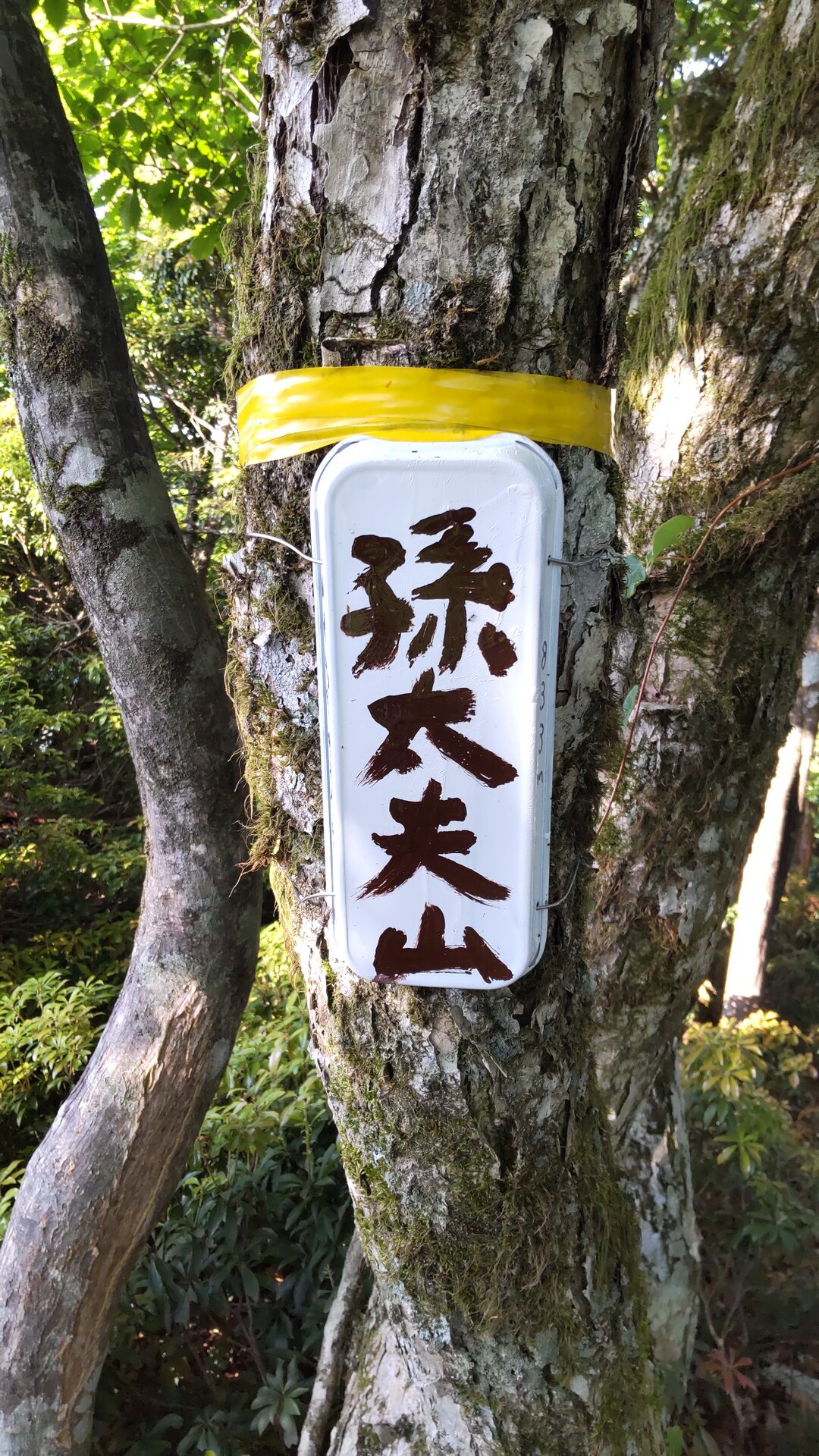 孫太夫山 / takawestさんの竜ヶ岳の活動データ | YAMAP / ヤマップ