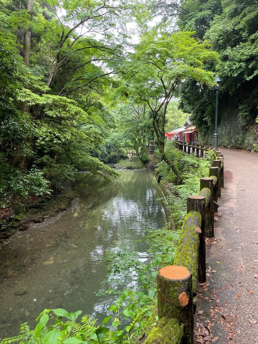 滝道ウォーキング-2024-06-02 / Yamasanさんのウォーキングの活動データ | YAMAP / ヤマップ