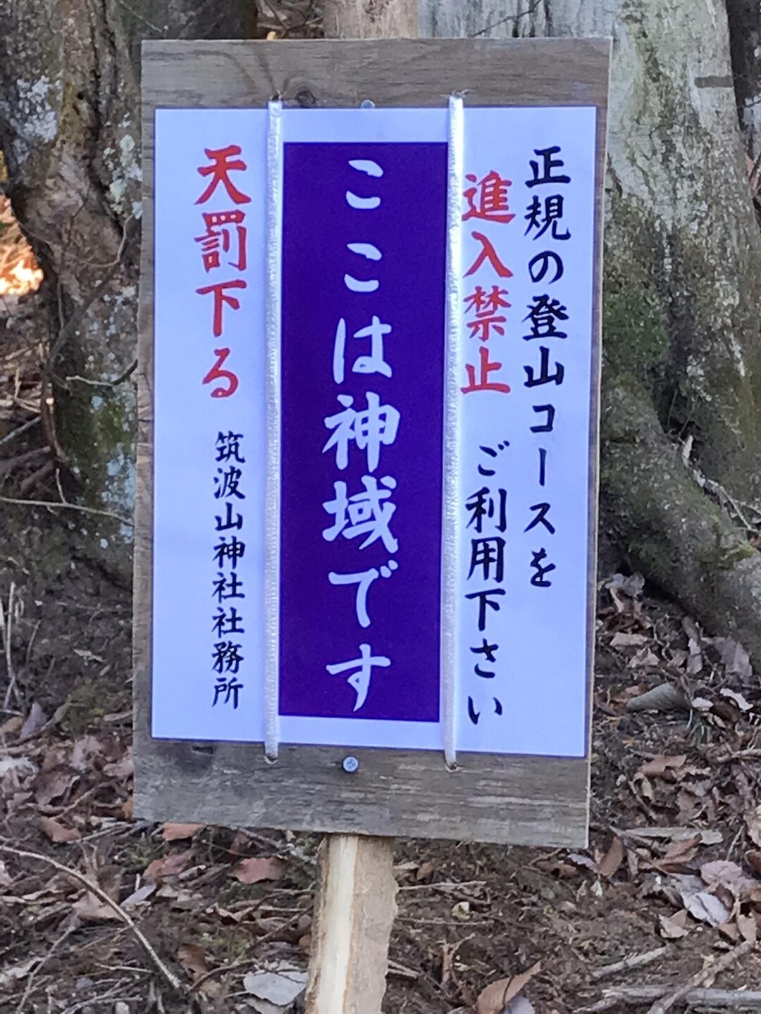 ウォーキング-2023-02-05 / tottuanさんのウォーキングの活動データ | YAMAP / ヤマップ