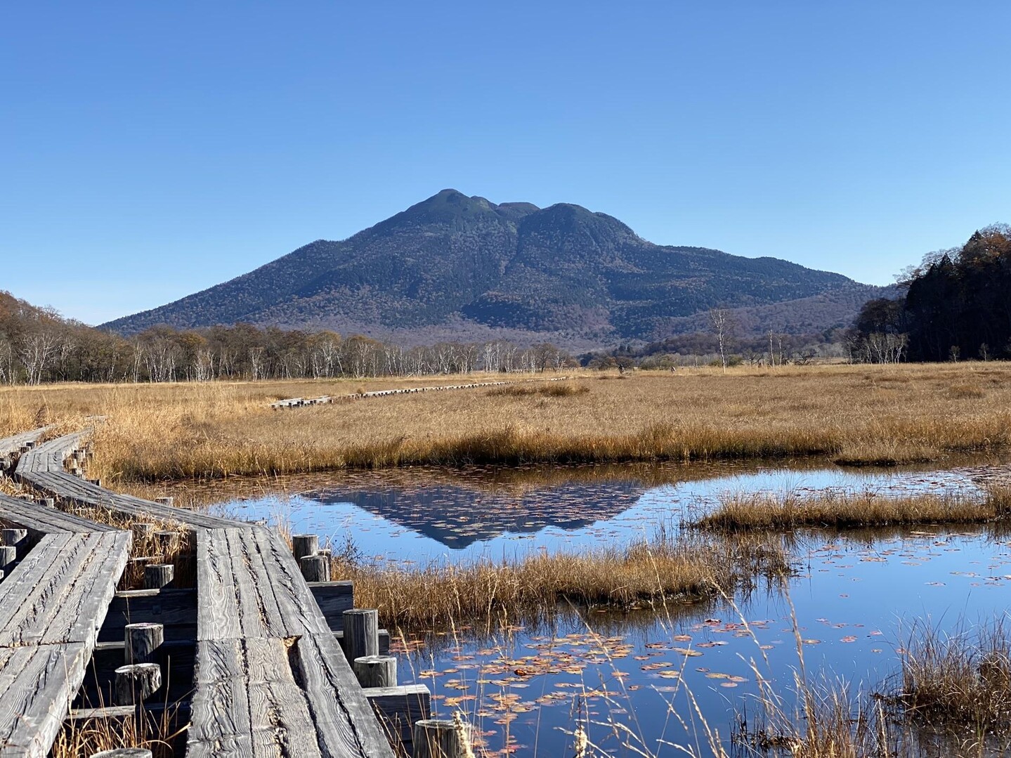 至仏山・小至仏山 / shinpeさんの尾瀬・至仏山・悪沢岳・笠ヶ岳の活動データ | YAMAP / ヤマップ