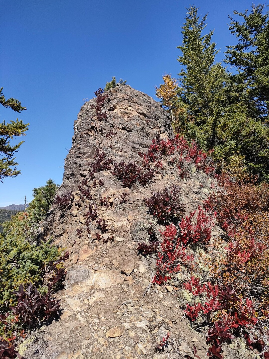 なかなかスリリングな岩山1121.3m / たかさんの武利岳・武華山の活動日記 | YAMAP / ヤマップ