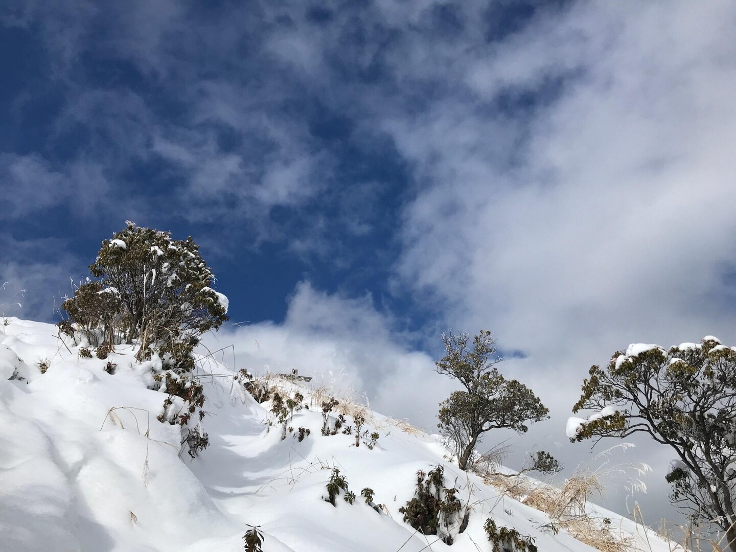 千ヶ峰 / yunyoさんの千ヶ峰の活動データ | YAMAP / ヤマップ