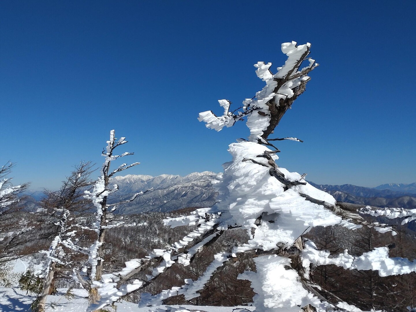 南沢山・横川山 / hsysさんの恵那山・大判山・神坂山の活動データ | YAMAP / ヤマップ