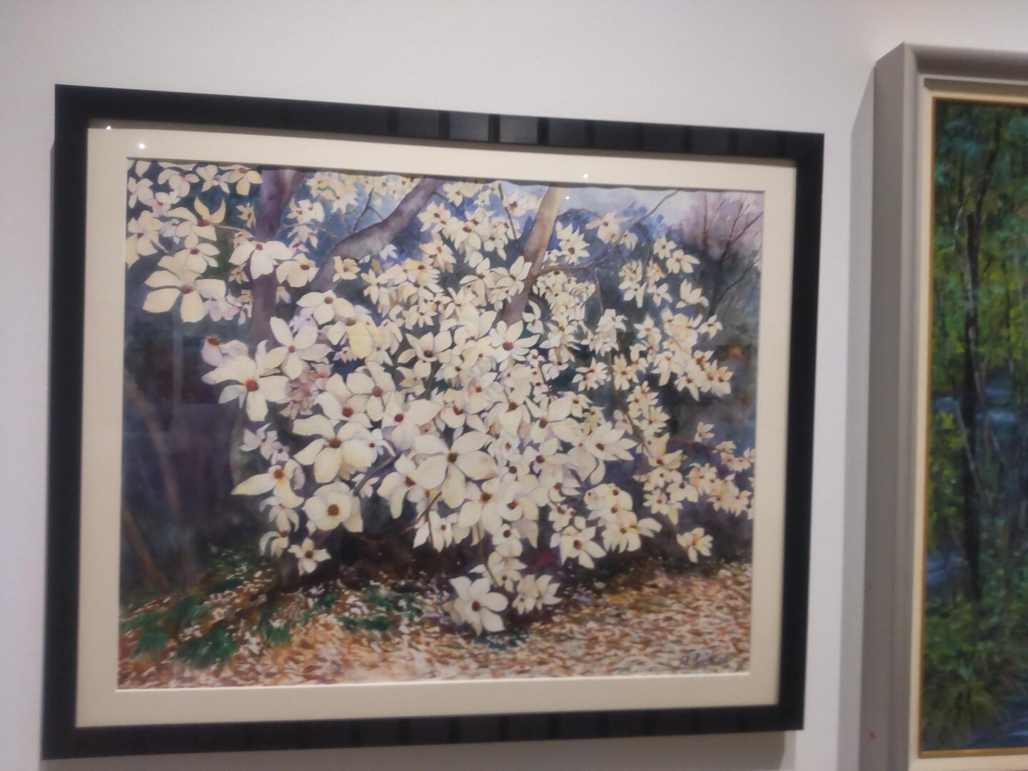 akiのページ | YAMAP / ヤマップ