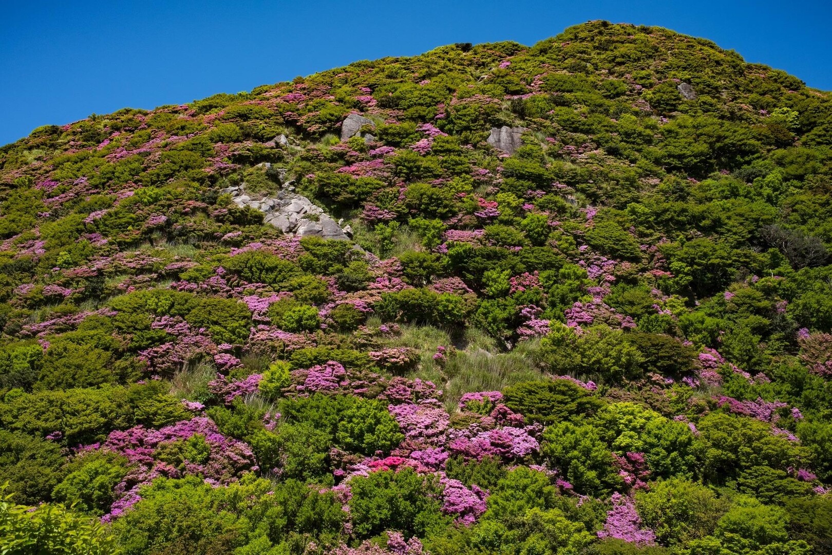 2024/05/19 0m to 1347m Ride and Climb / Photographer Kさんの雲仙岳・普賢岳・絹笠山の活動データ | YAMAP / ヤマップ