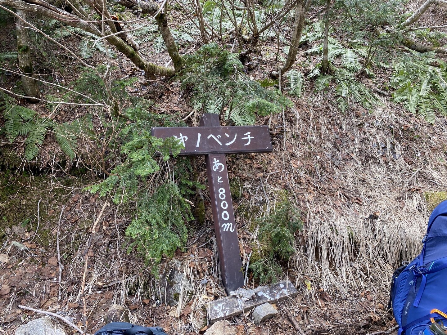 neoさんの投稿したフィールドメモ | YAMAP / ヤマップ