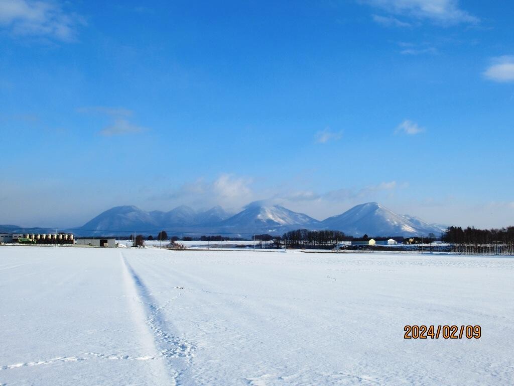 ランニング-2024-02-09 / miyaさんのランニングの活動データ | YAMAP / ヤマップ