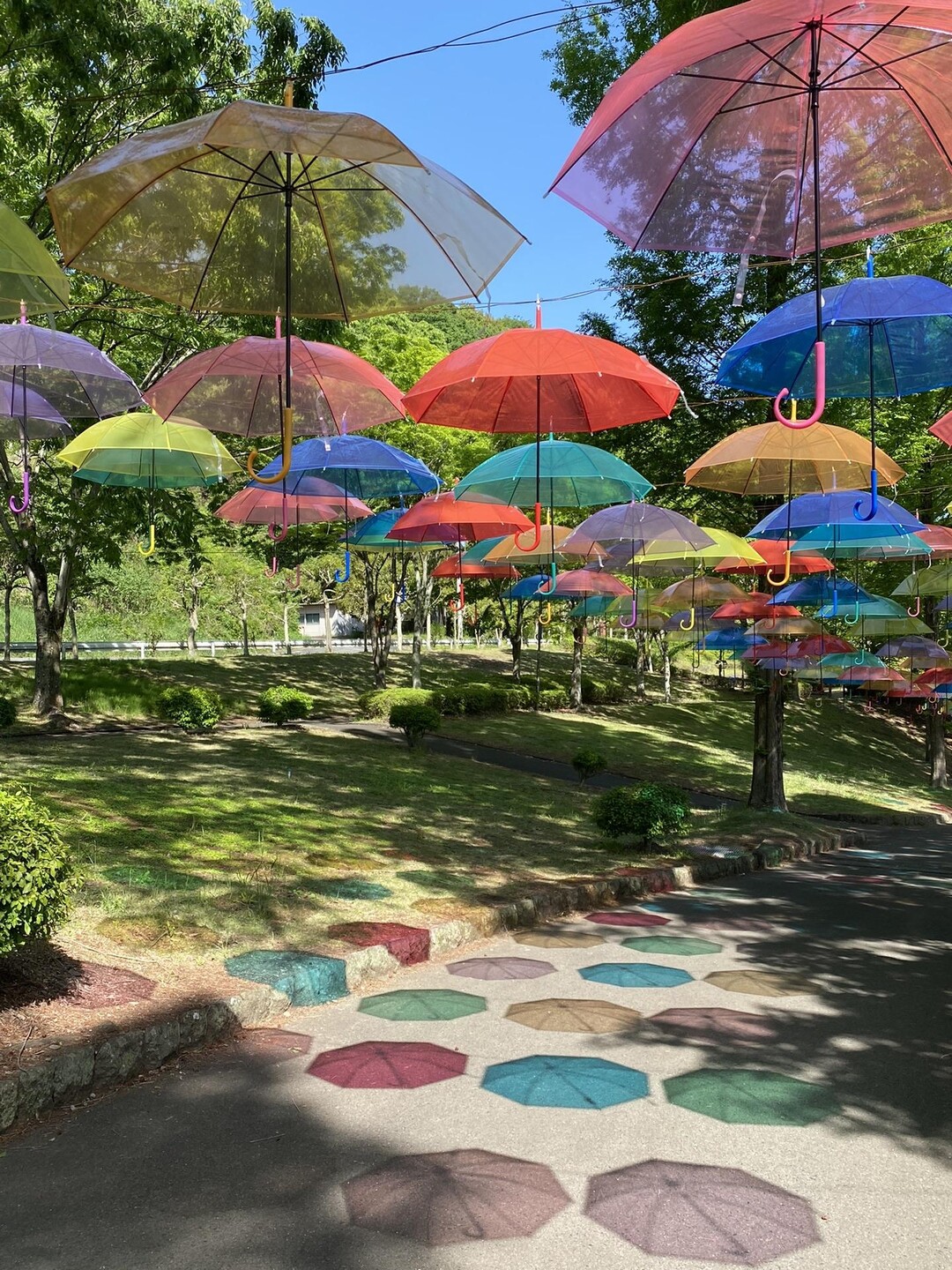 朝活からの 富岡アルプスへ ♪ / pan さんの大桁山・鍬柄岳・御堂山の活動日記 | YAMAP / ヤマップ