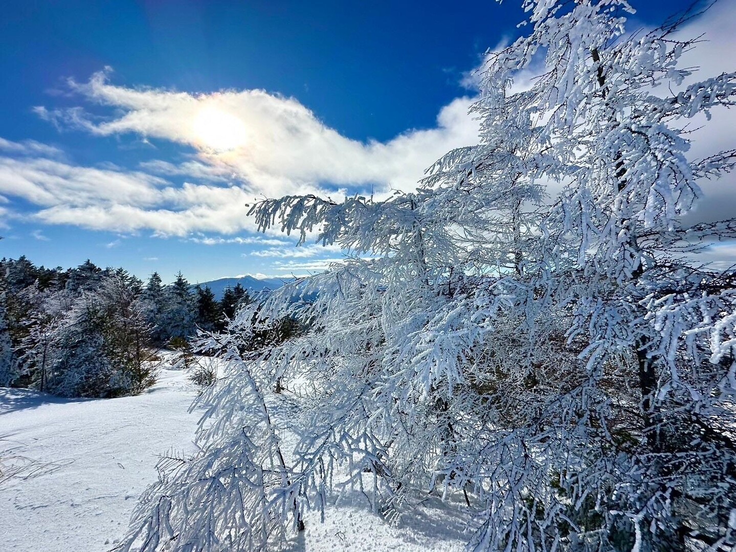 あの鐘🔔をならそー‼️美ヶ原でスノーシュー / sonoさんの美ヶ原の活動データ | YAMAP / ヤマップ