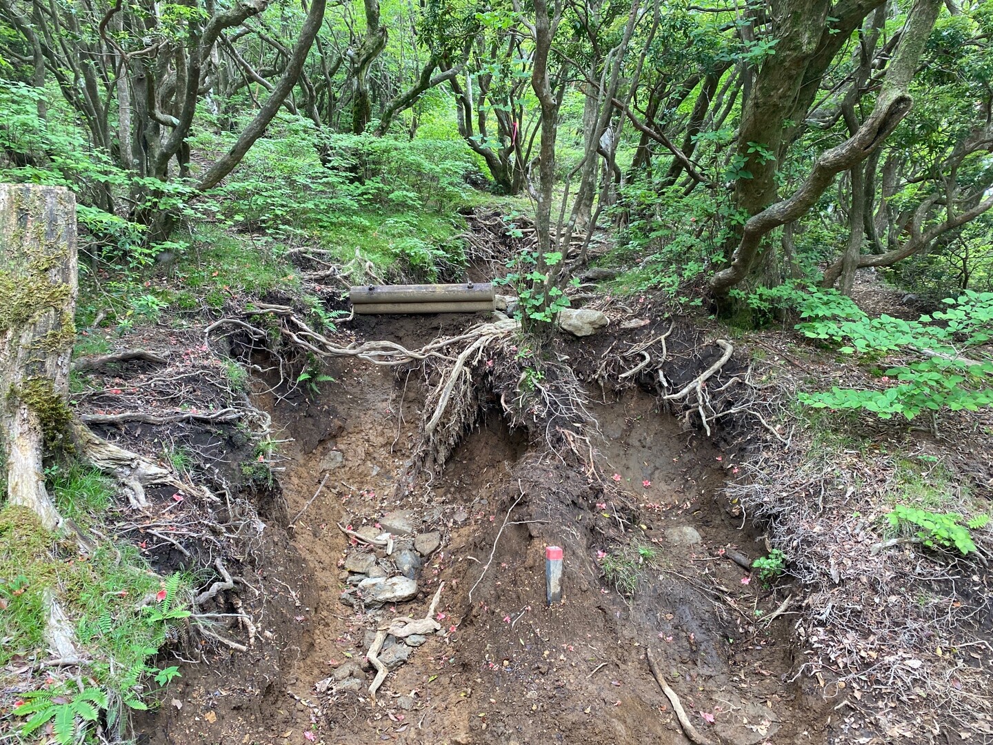 Ryoさんの投稿したフィールドメモ | YAMAP / ヤマップ