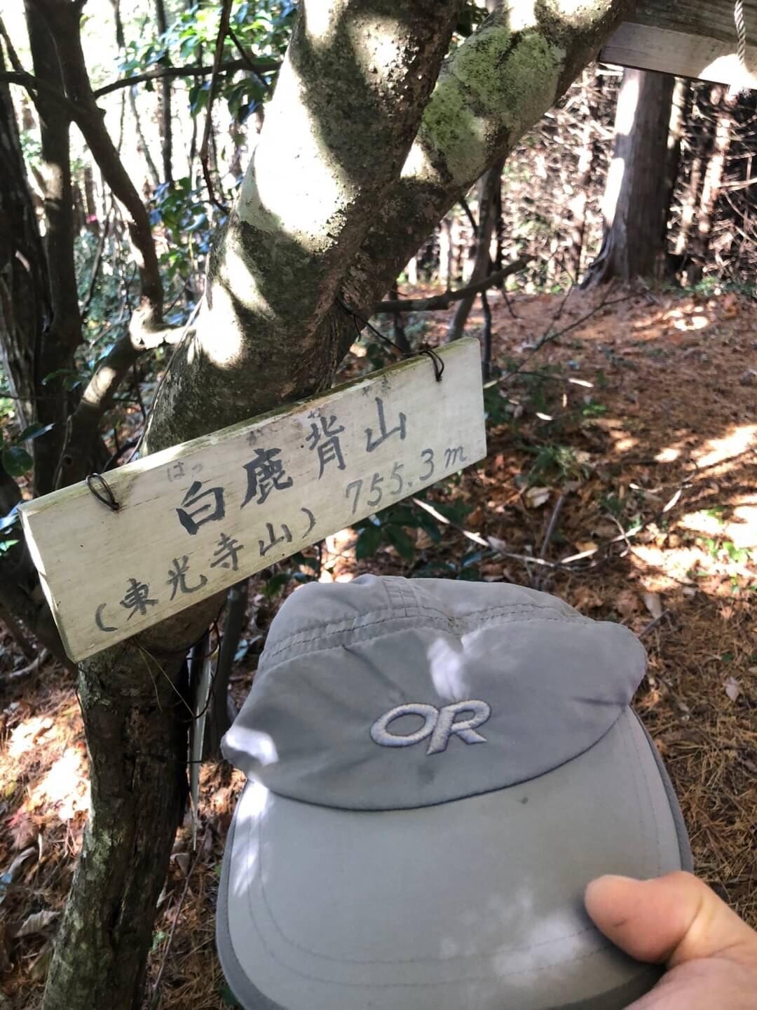 R5 11月22日 白鹿背山[はっかせ... / オオイシさんのモーメント | YAMAP / ヤマップ