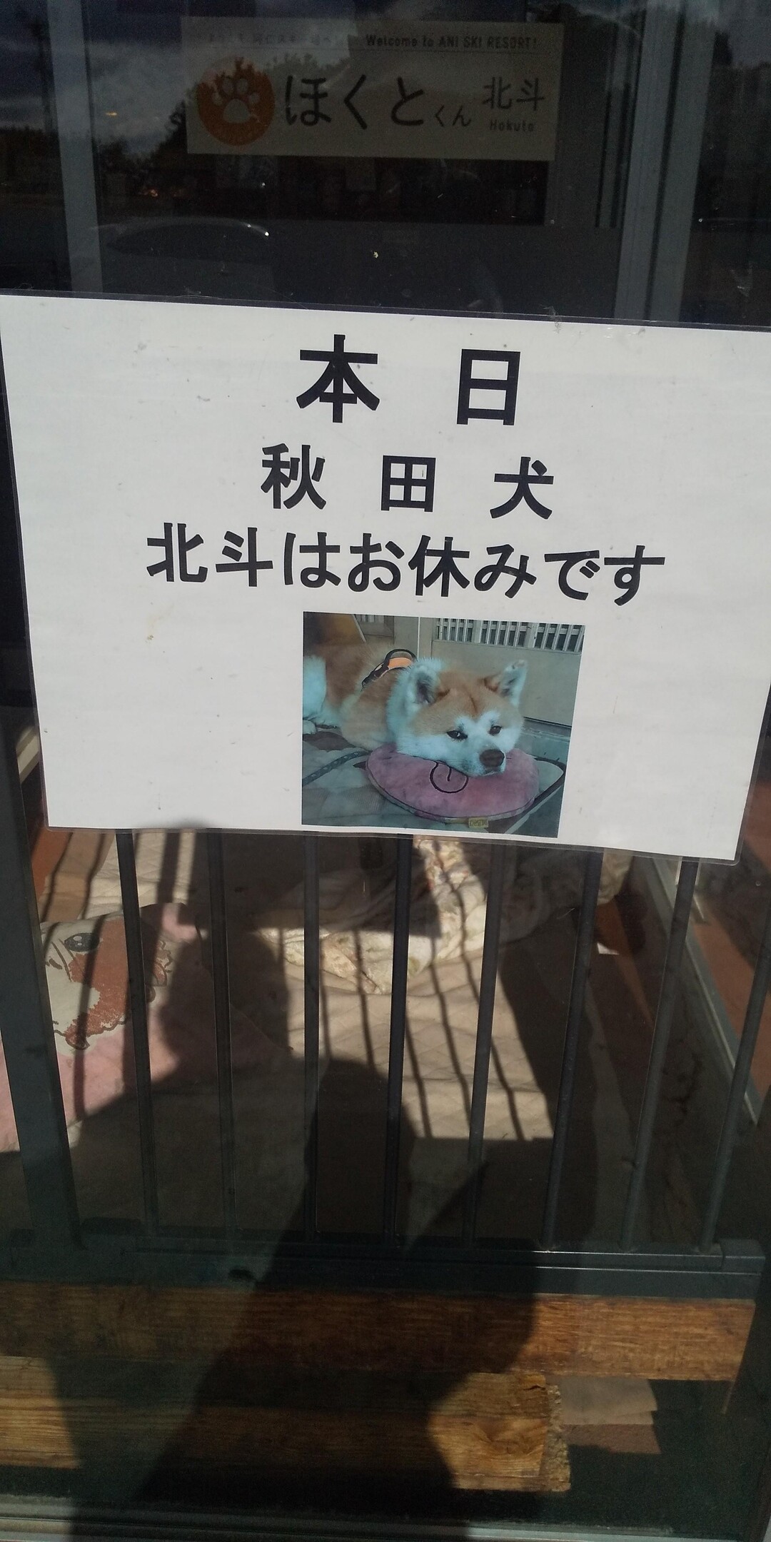 石森・森吉山 東北遠征1日目 / mokoさんの森吉山の活動データ | YAMAP / ヤマップ