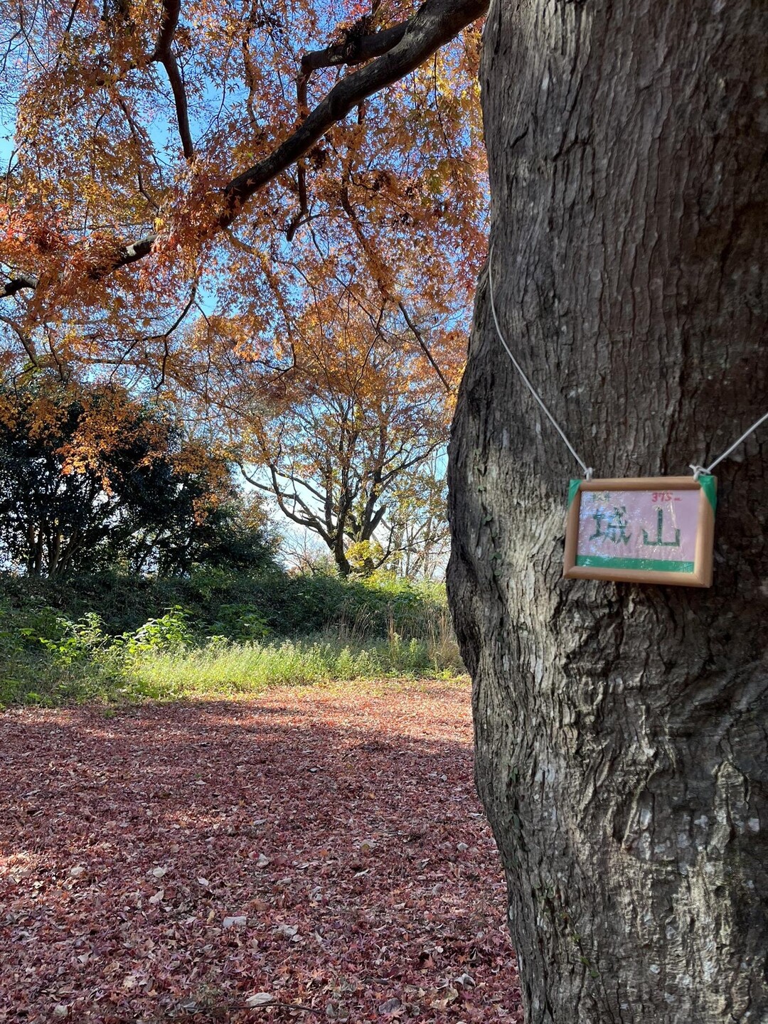 城山(津久井城山) / FIT RSさんの高尾山・陣馬山・景信山の活動データ | YAMAP / ヤマップ