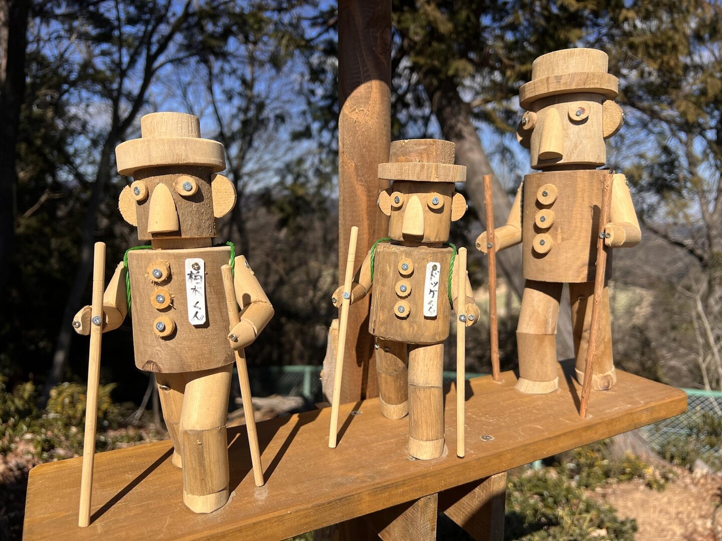 柏木山・ジャンダルム / skさんの天覧山・多峯主山・天覚山の活動データ | YAMAP / ヤマップ