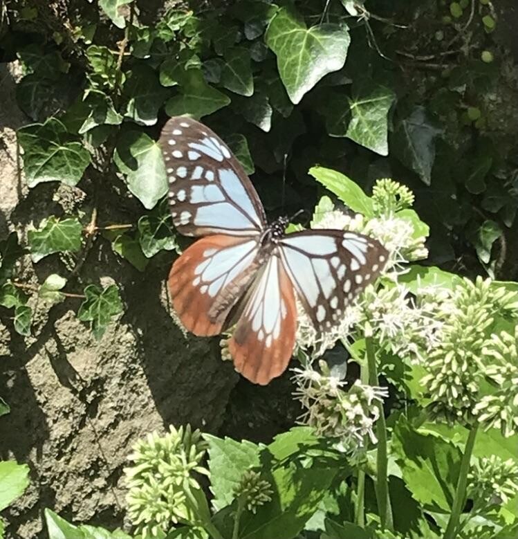 karinのページ | YAMAP / ヤマップ