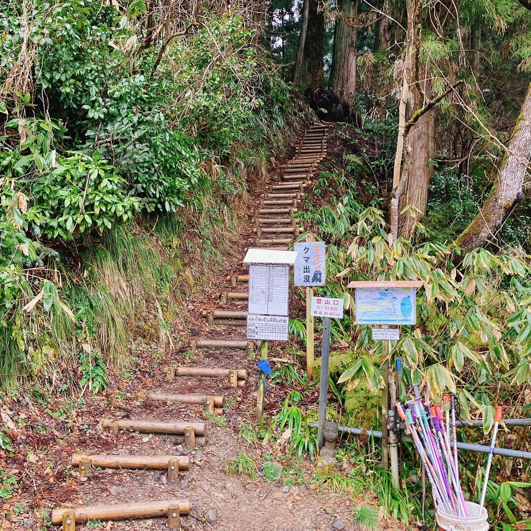 猿毛岳 / ark-kさんの猿毛岳の活動データ | YAMAP / ヤマップ