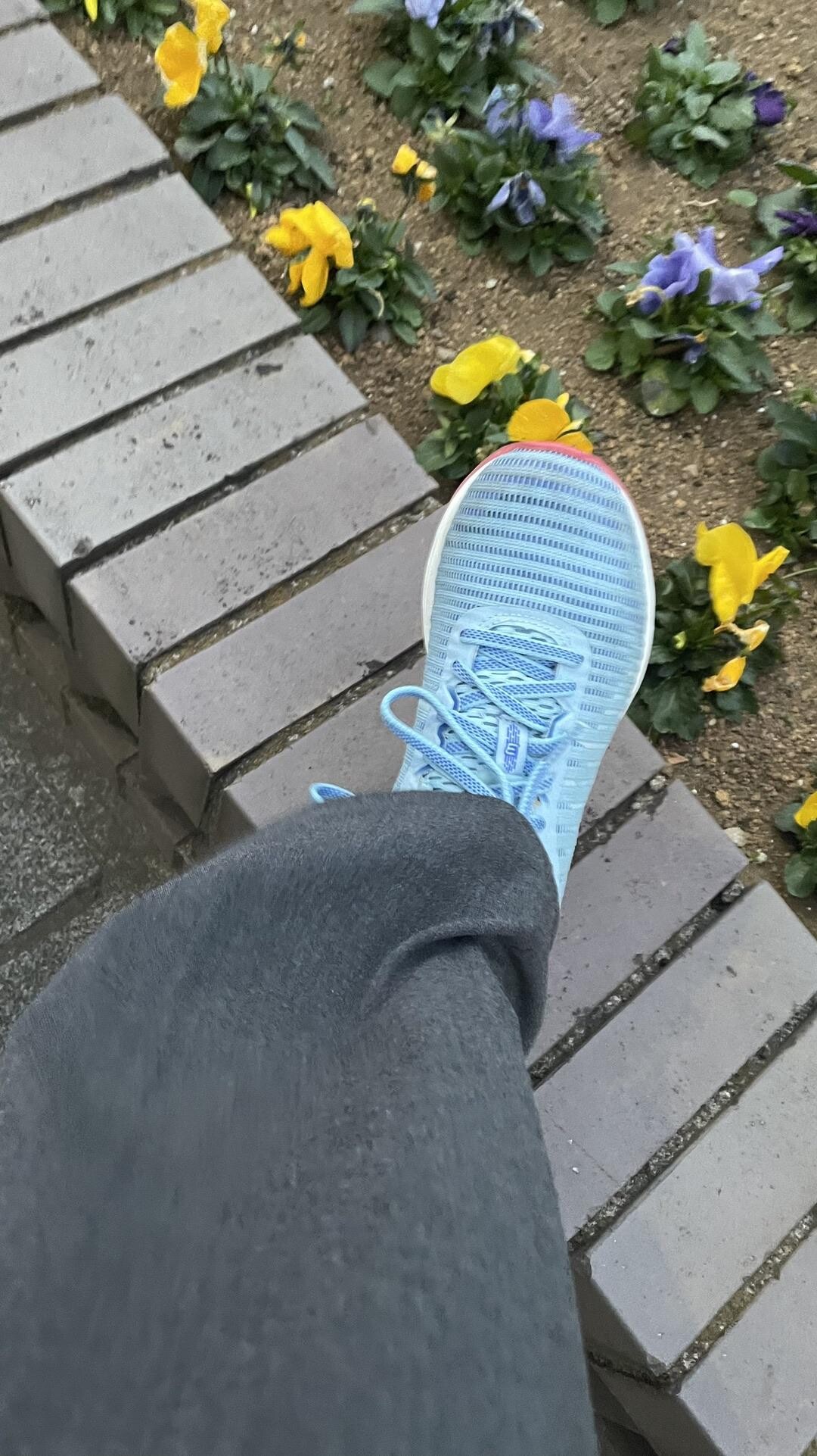 ウォーキング-2024-02-01 / Mai.さんのウォーキングの活動日記 | YAMAP / ヤマップ