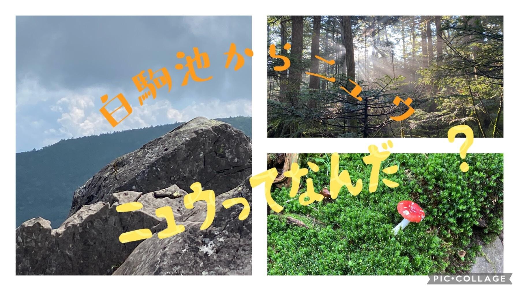 YouTubeアップしました〜 http... / あきこさんのモーメント | YAMAP / ヤマップ