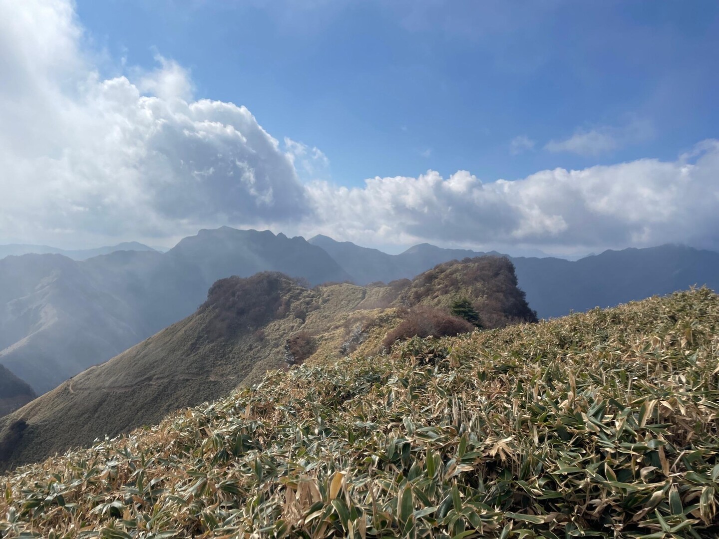 寒風山・笹ヶ峰 / aki-kiyoさんの笹ヶ峰・寒風山・平家平の活動データ | YAMAP / ヤマップ