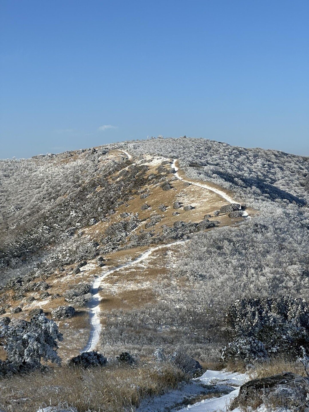 猟師岳・合頭山 / KJさんの九重山（久住山）・大船山・星生山の活動データ | YAMAP / ヤマップ