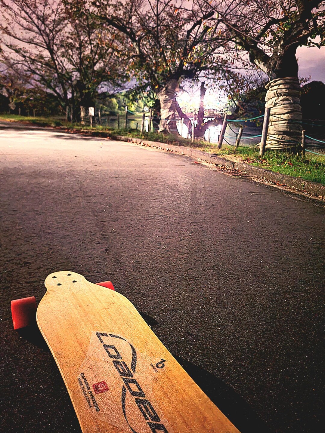 基礎トレ🦍洲原・JF / goriさんのランニングの活動データ | YAMAP / ヤマップ