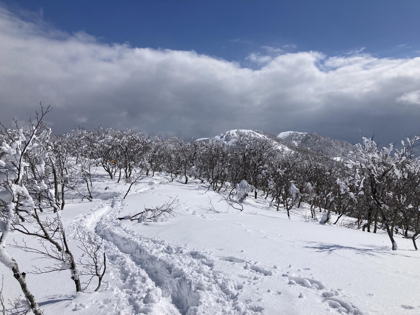 三ノ峰・二ノ峰・一ノ峰・前一ノ峰 / hi-chanさんの五頭山・菱ヶ岳・宝珠山の活動データ | YAMAP / ヤマップ