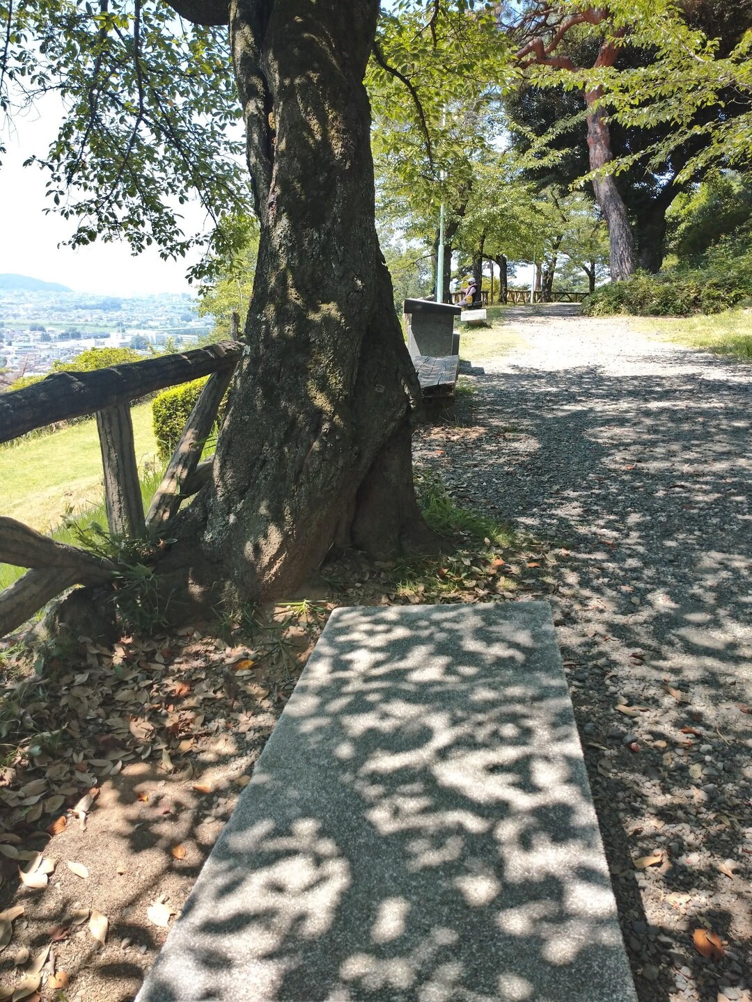 午前 AZUMA ホームの吾妻山へ ... / おくさんさんのモーメント | YAMAP / ヤマップ