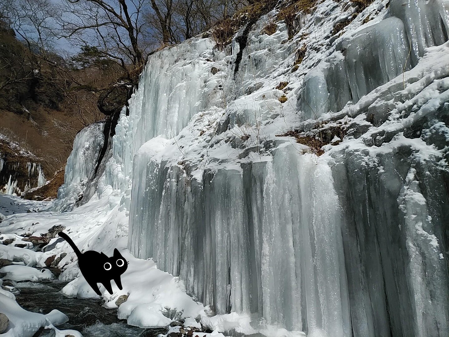 🐹🧊ice world / にゃーおさんのモーメント | YAMAP / ヤマップ