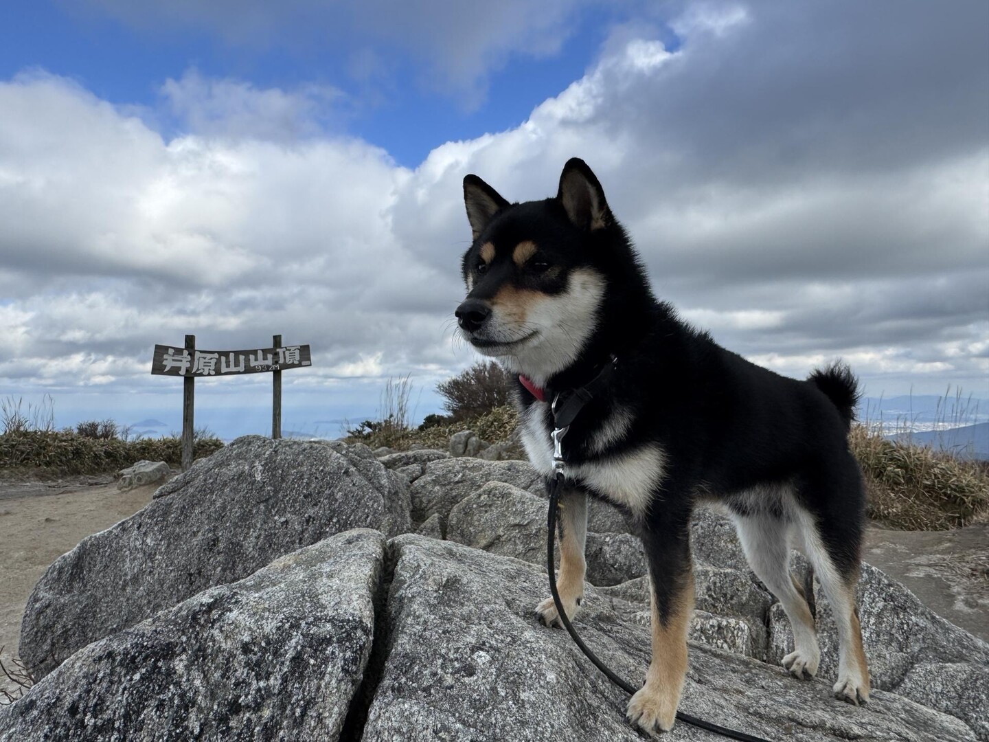 黒豆山歩 三瀬峠から井原山 往復。 / oiyoさんの雷山・井原山の活動データ | YAMAP / ヤマップ