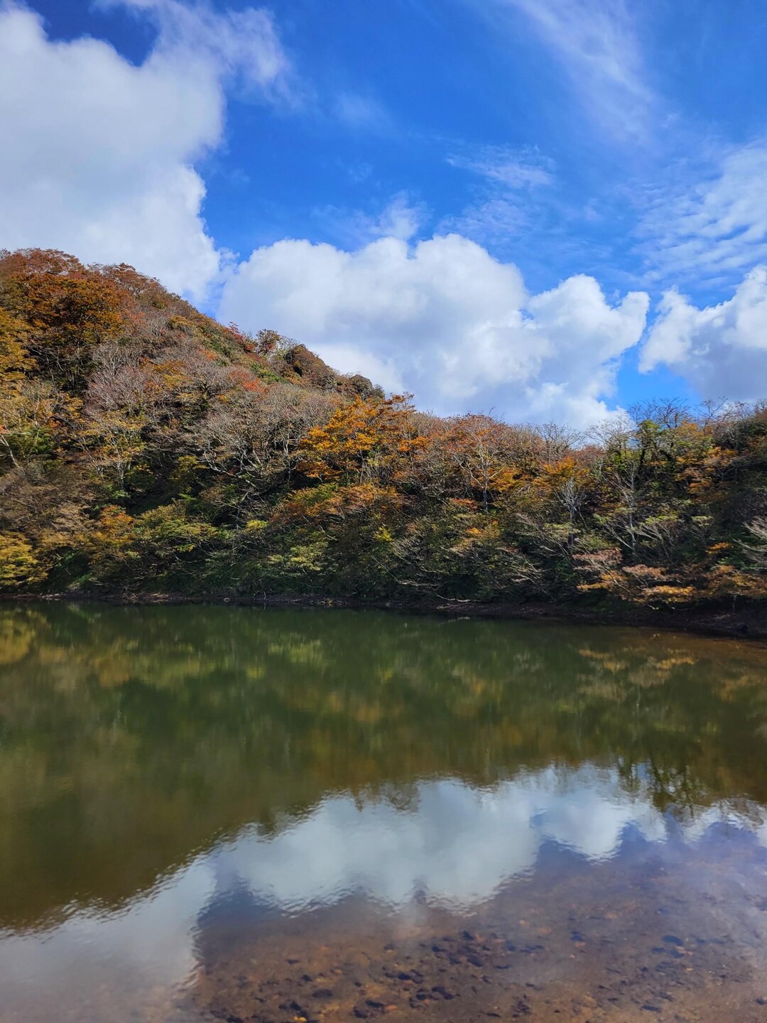 夜叉ヶ池 R05.10.23 / 良さんの夜叉ヶ池山・三周ヶ岳の活動データ | YAMAP / ヤマップ
